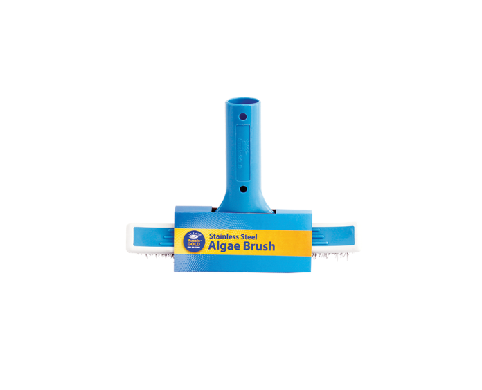 Aussie Gold - Algae Brush Stainless Steel 10 inch – Halogen Group